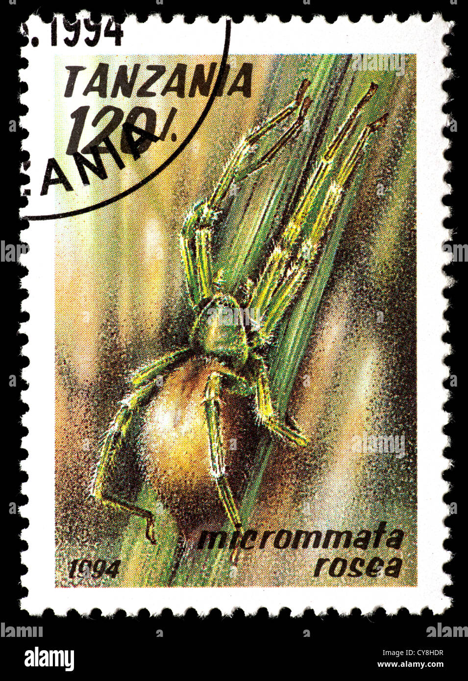 Postage stamp from Tanzania depicting a spider (Micrommata rosea Stock ...