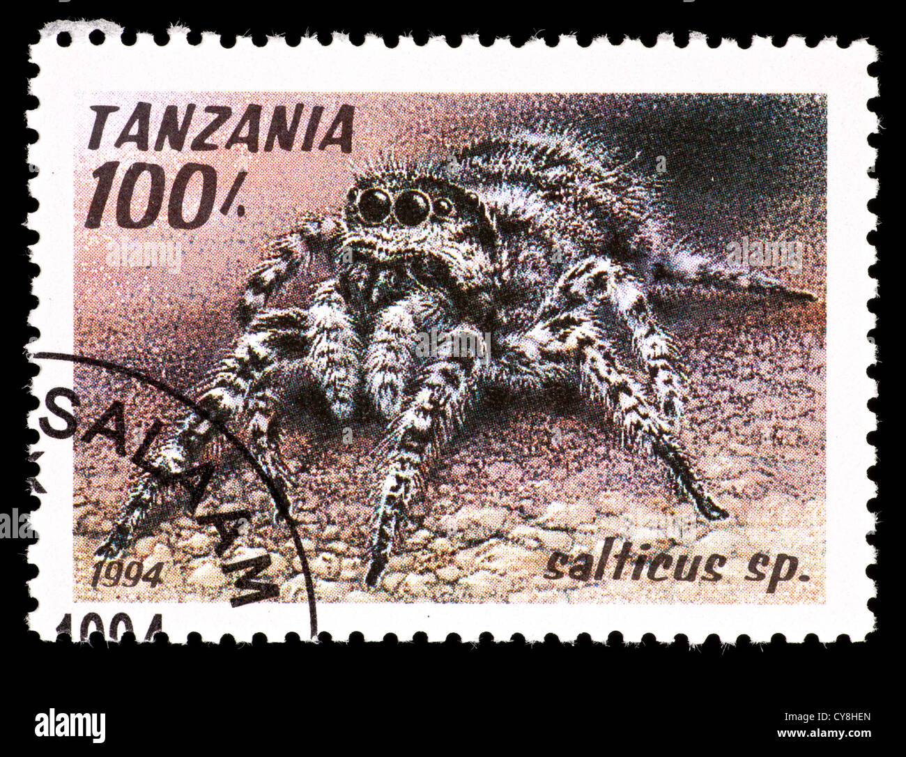 Postage stamp from Tanzania depicting a jumping spider (calticus ...