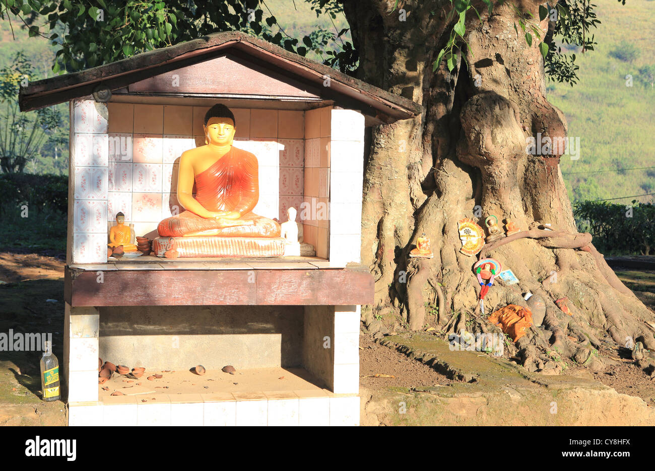 Buddhist shrine hi-res stock photography and images - Alamy