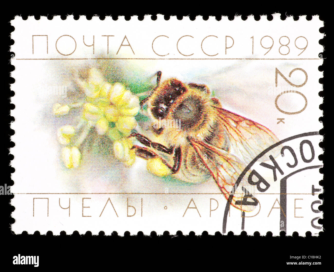 Postage stamp from the Soviet Union depicting a honey bee at a flower ...