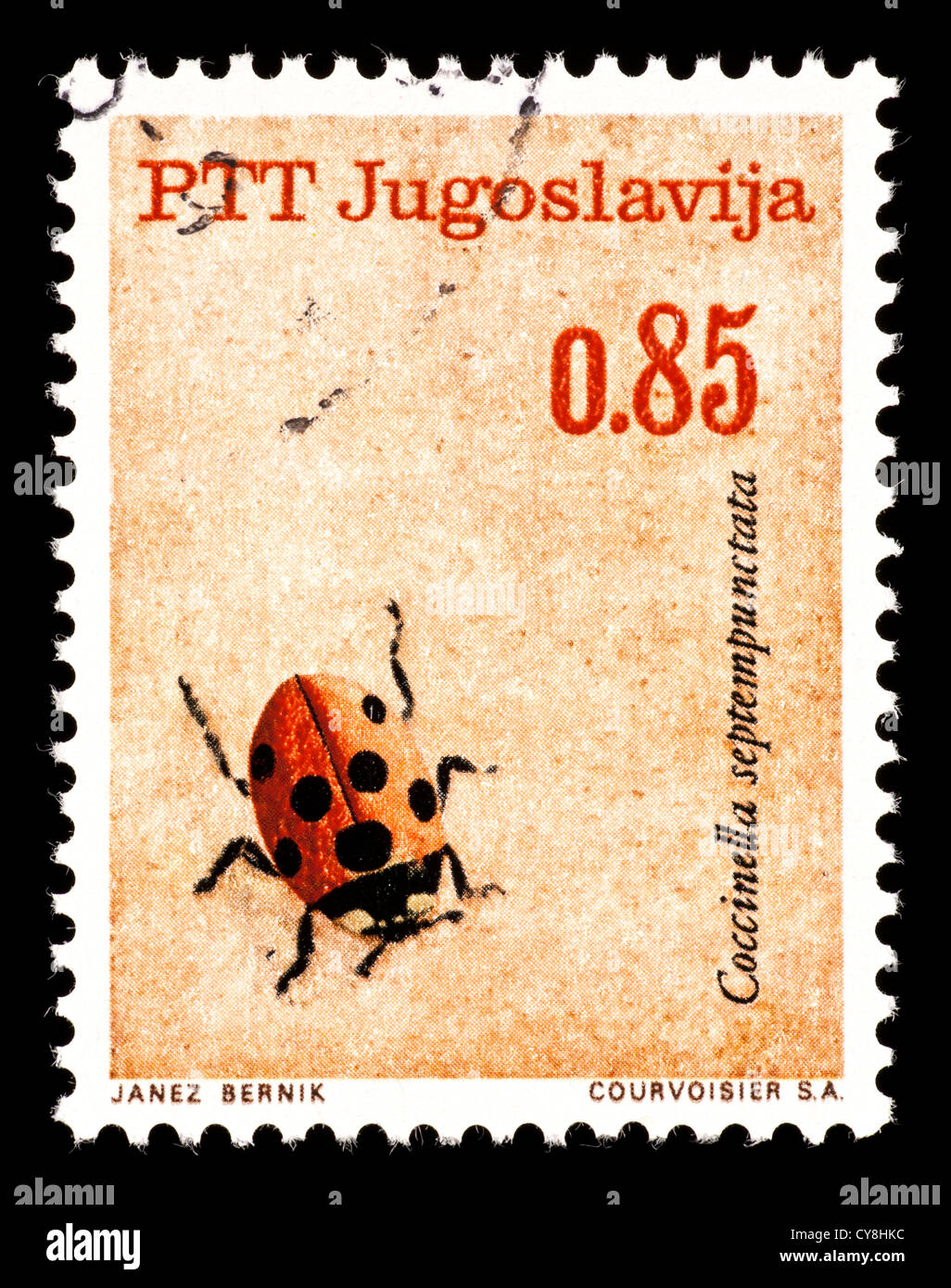 Postage stamp from Yugoslavia depicting a ladybug beetle (Coccinella ...