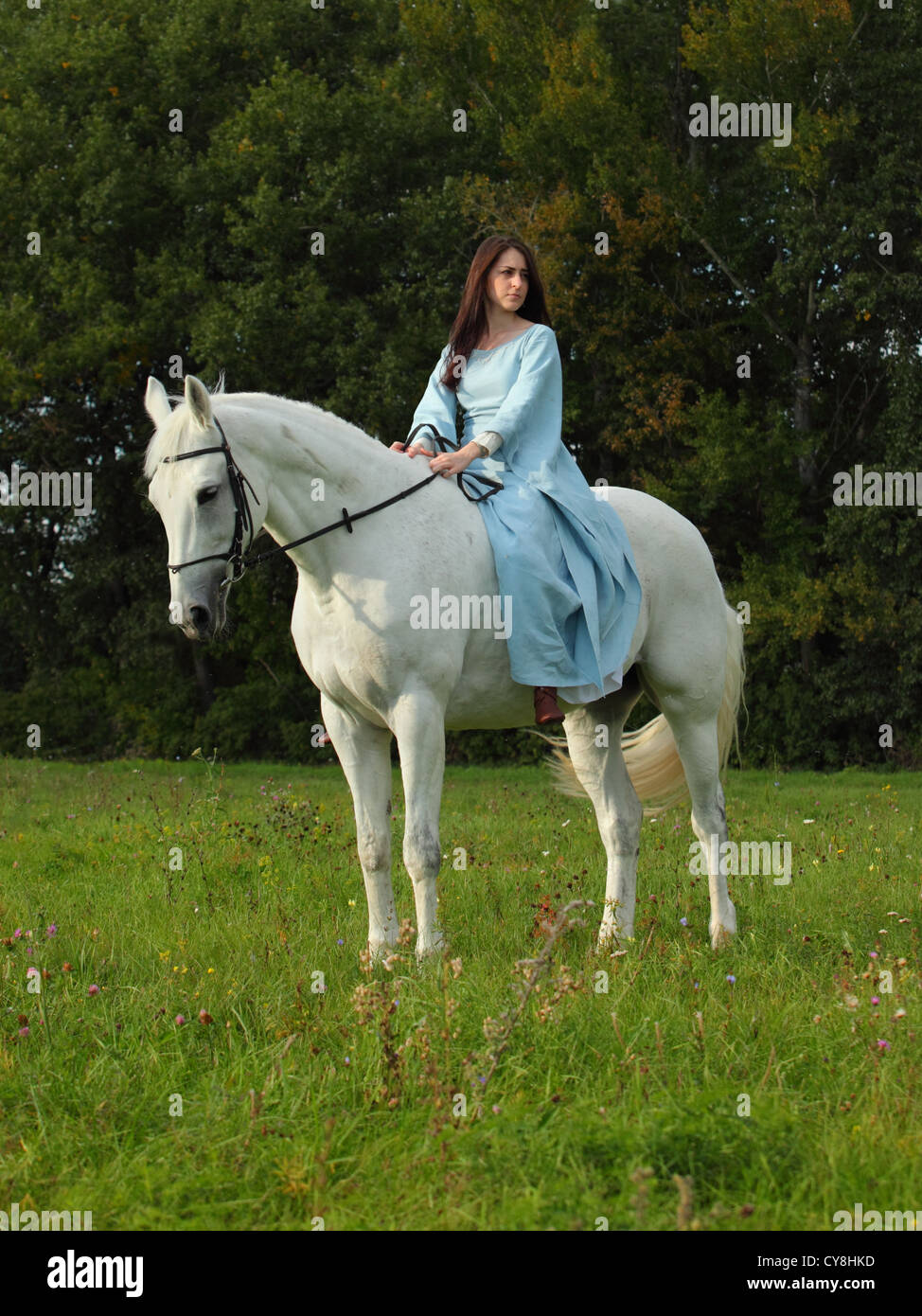 The woman in a beautiful old medieval style dress on horse in yellow ...