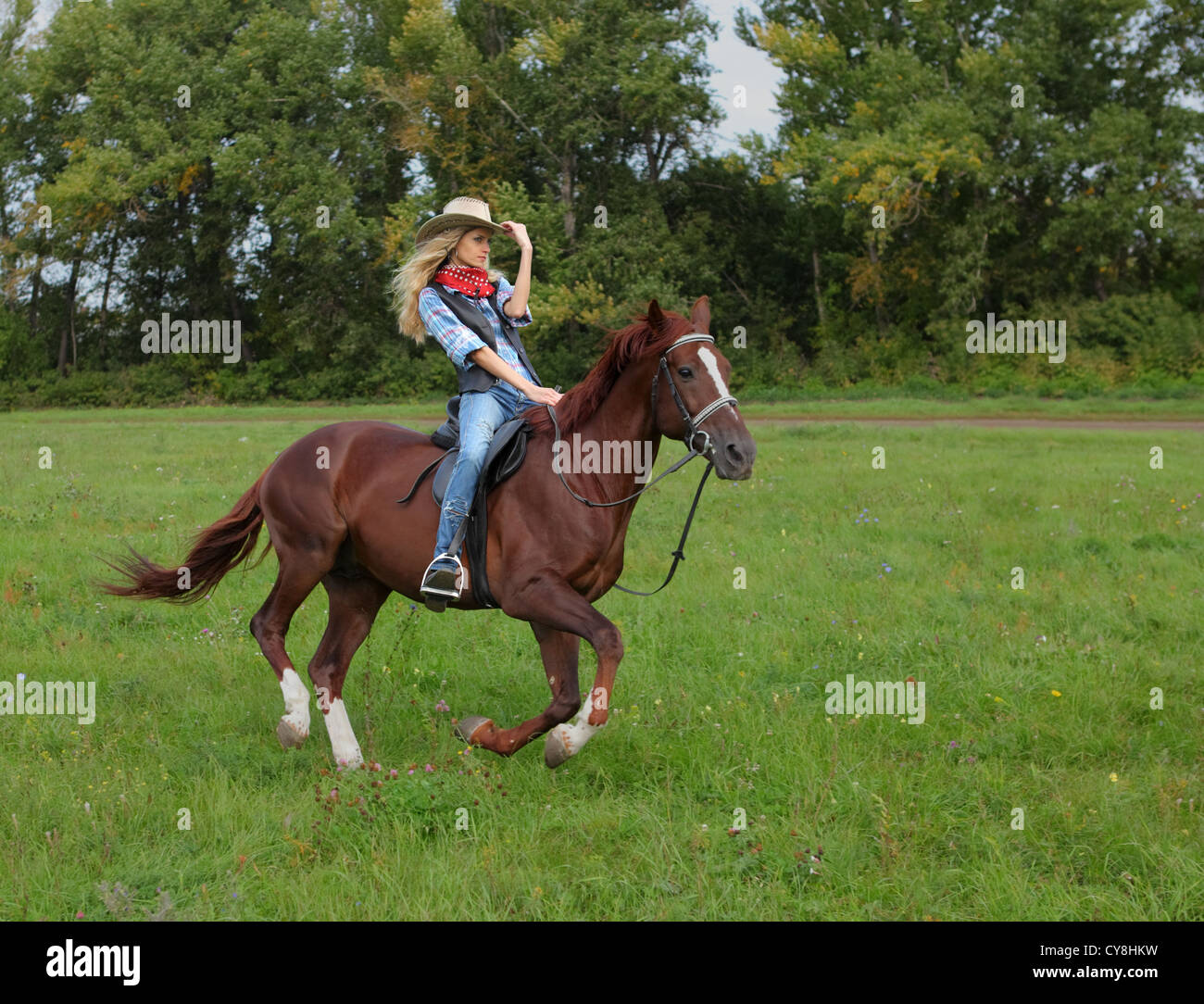 Cowboy dressed woman riding gallop her horse Stock Photo - Alamy
