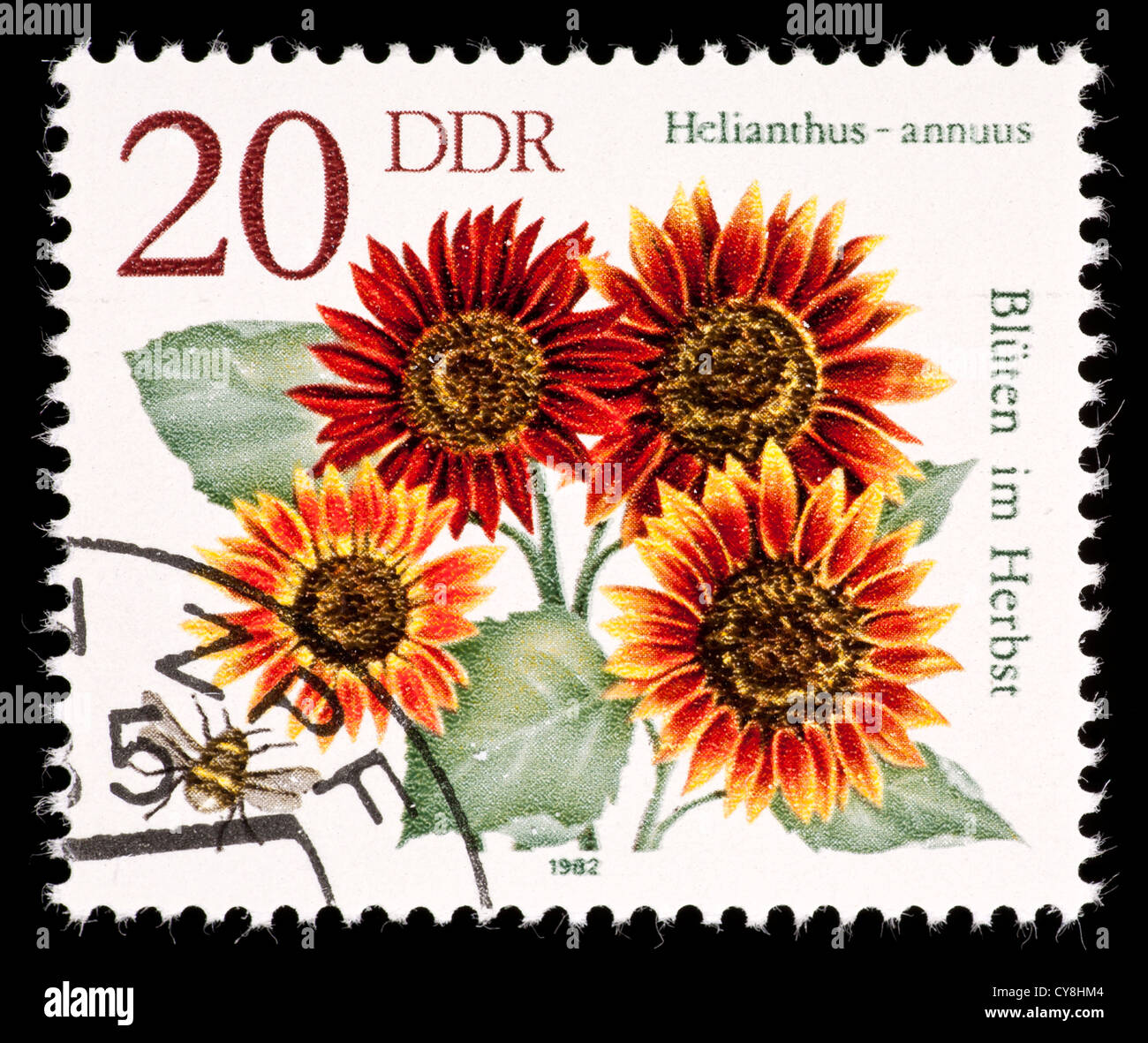 Postage stamp from East Germany (DDR) depicting sunflowers in the Fall ...