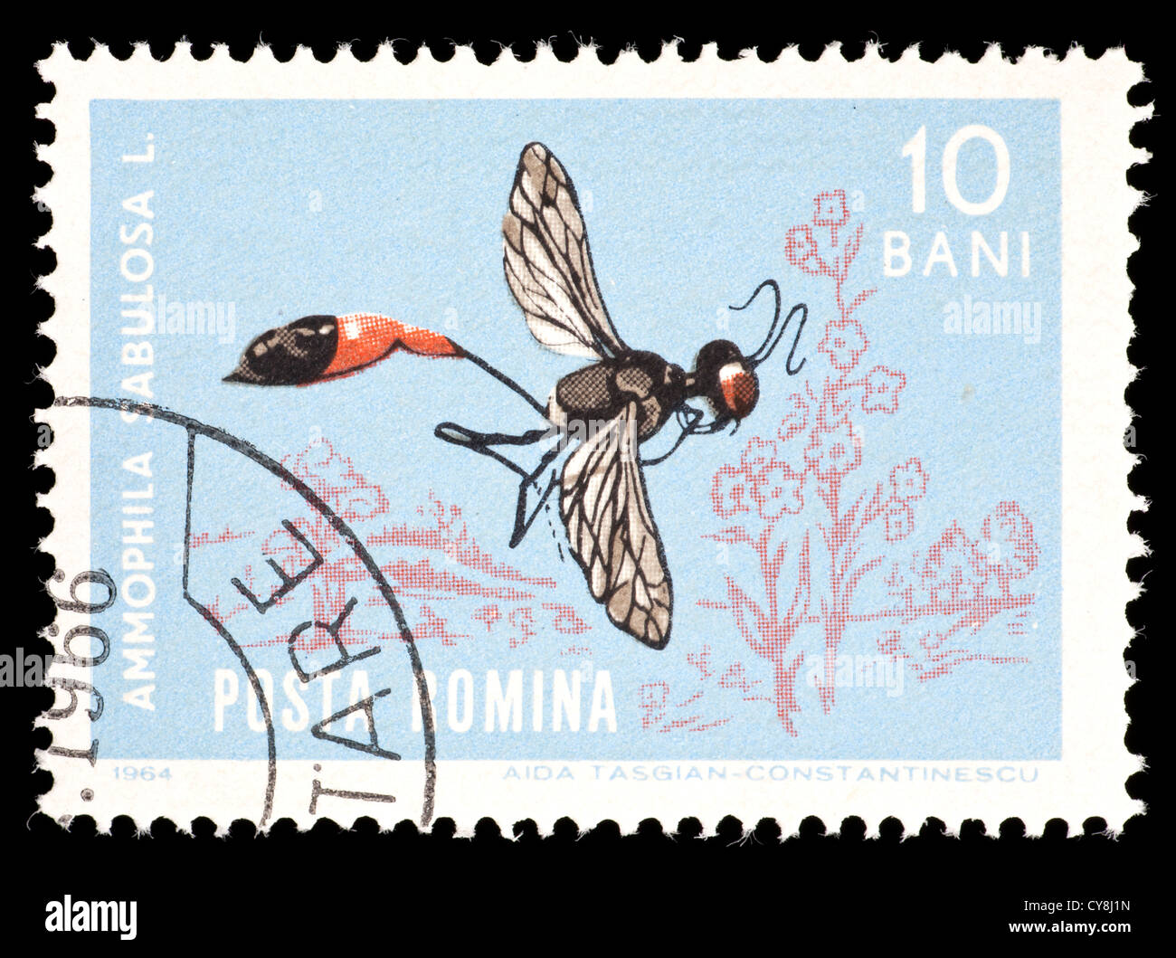 Postage stamp from Romania depicting a red-banded sand wasp (Ammophila ...