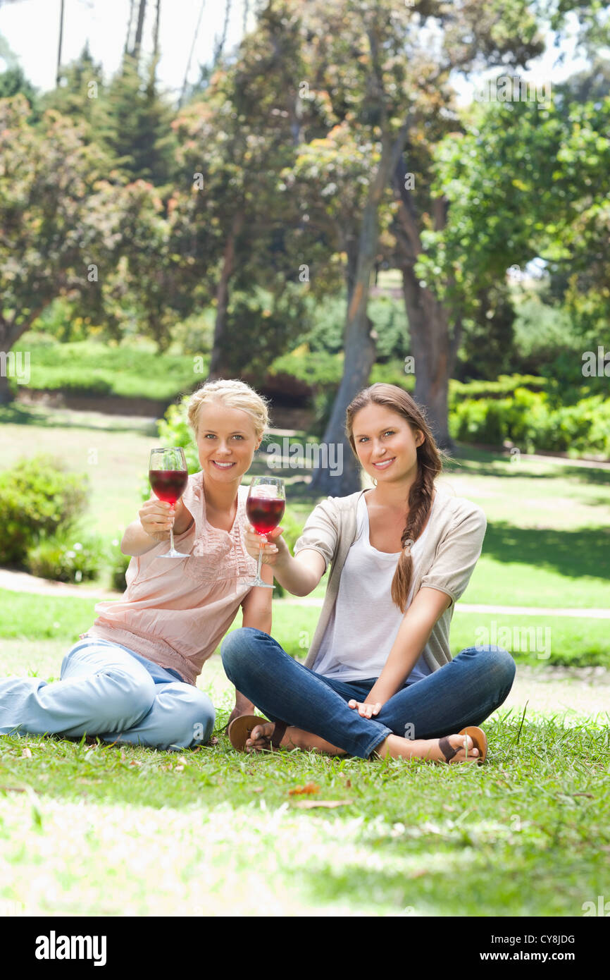 Smiling friends having glasses of red wine in the park Stock Photo - Alamy