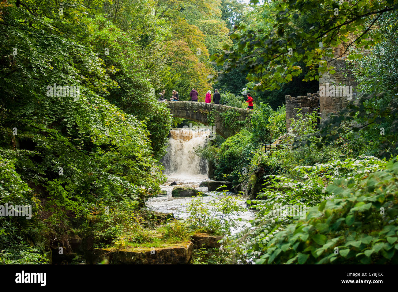 Bridge and waterfall Stock Photo - Alamy
