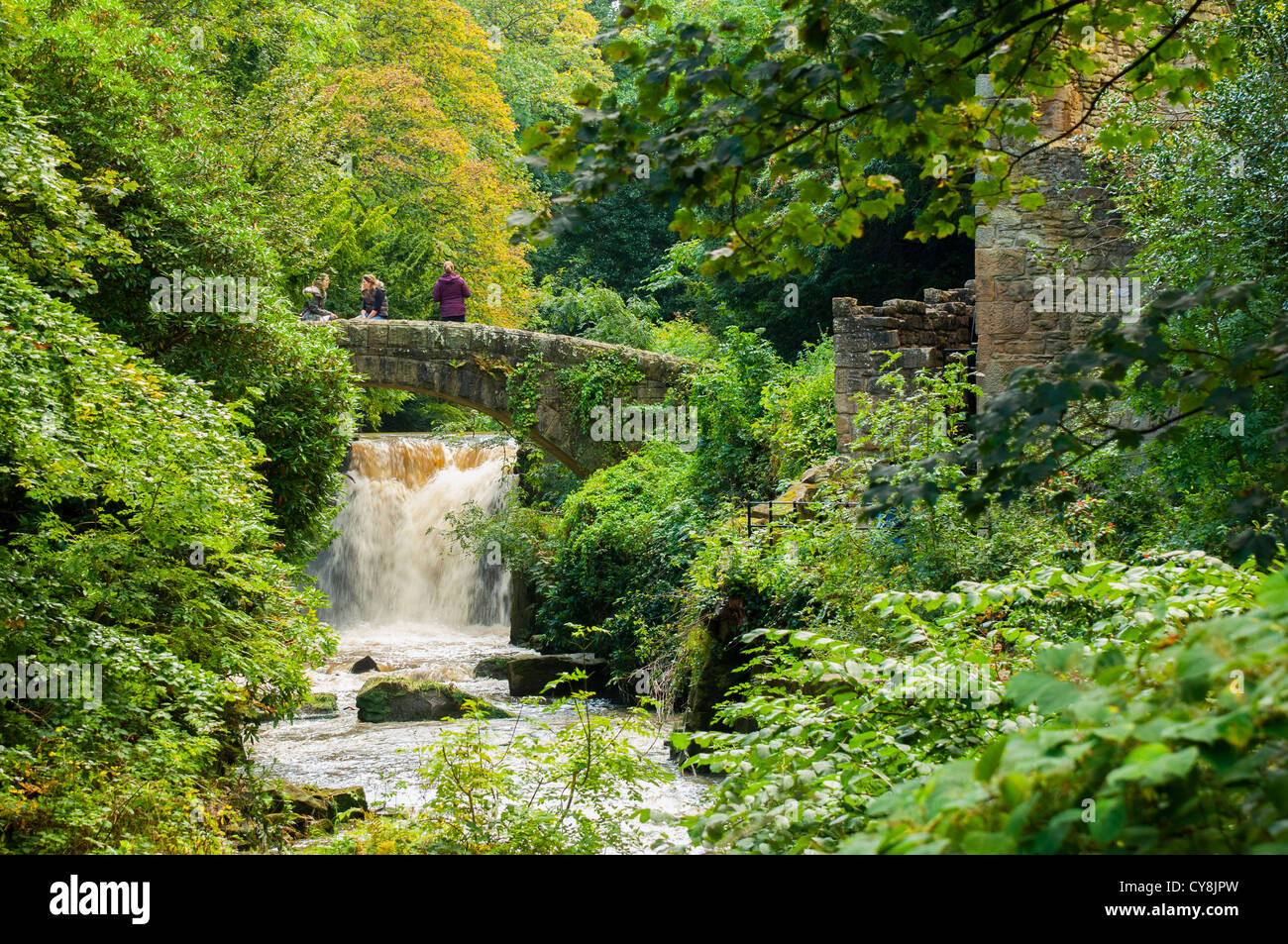 Bridge with waterfall hi-res stock photography and images - Alamy