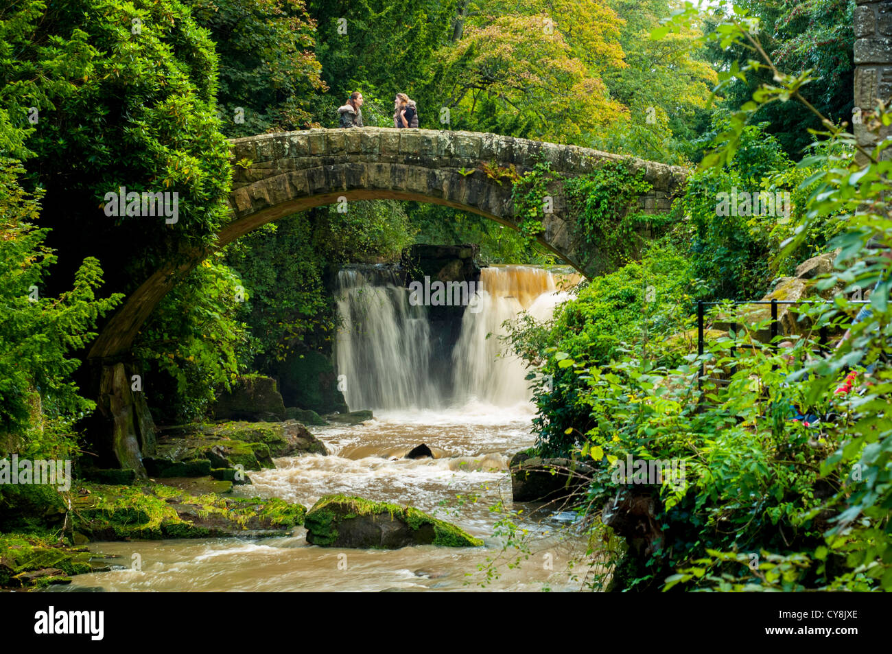 Bridge and waterfall Stock Photo - Alamy
