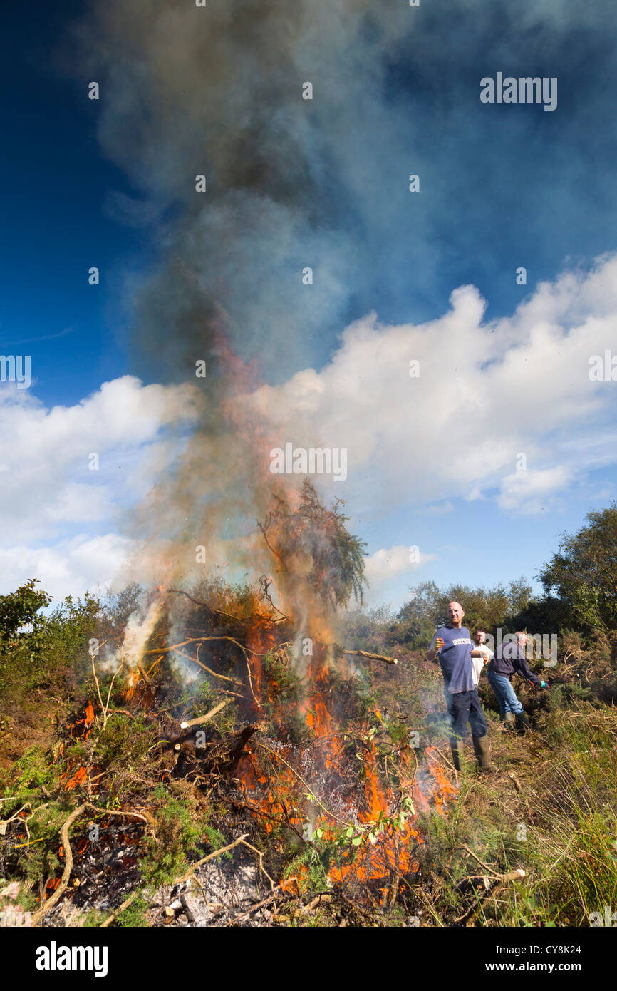 Gorse fire hi-res stock photography and images - Alamy