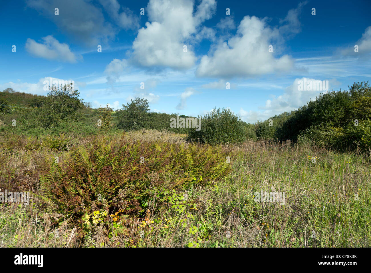 Bell lake hi-res stock photography and images - Alamy