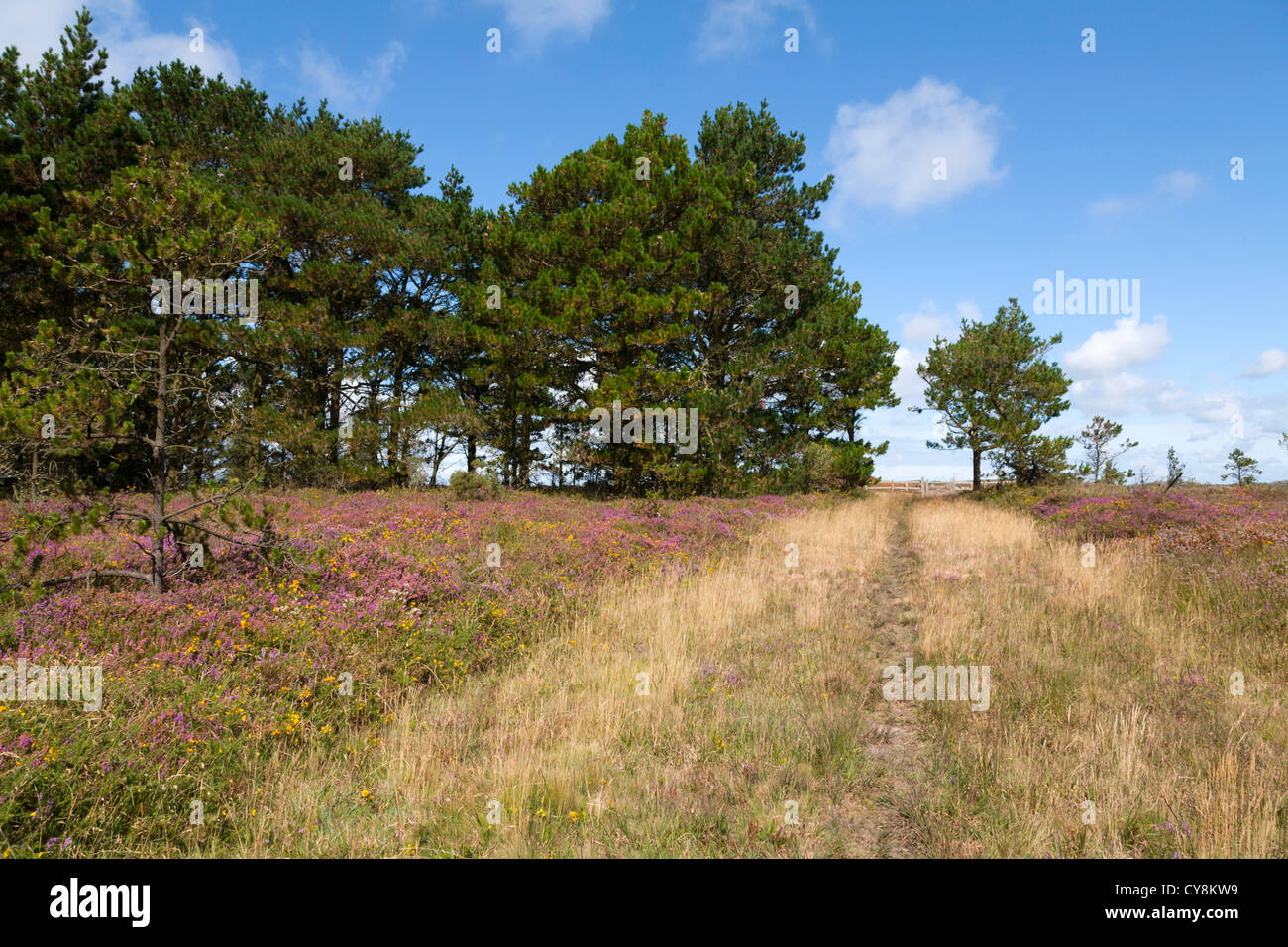 Goonhilly hi-res stock photography and images - Alamy