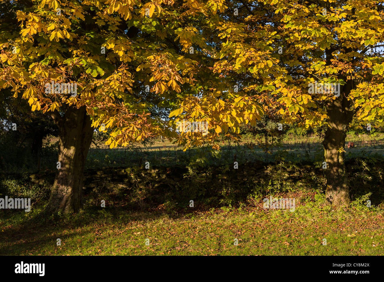 Lockton yorkshire hi-res stock photography and images - Alamy