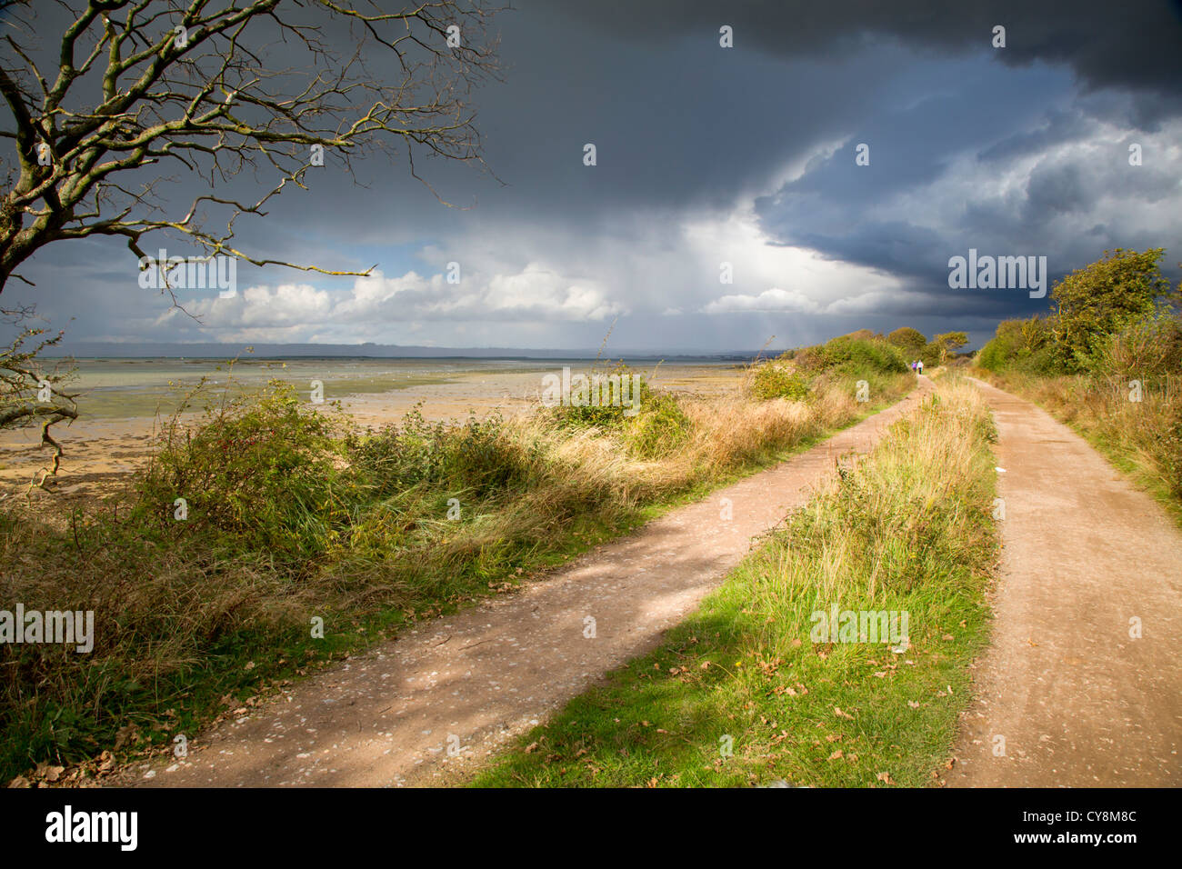 Hayling Billy Trail; Hayling Island; UK; former railway line Stock ...