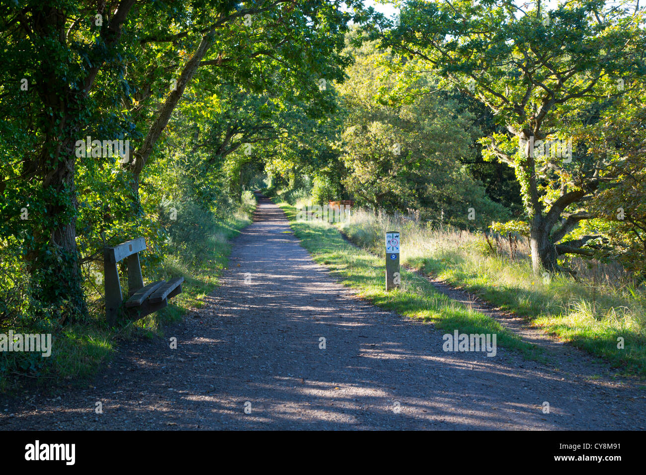 Hayling Billy High Resolution Stock Photography and Images - Alamy