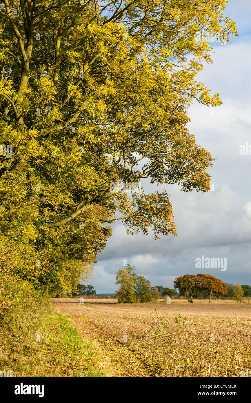 Cy8mck hi-res stock photography and images - Alamy