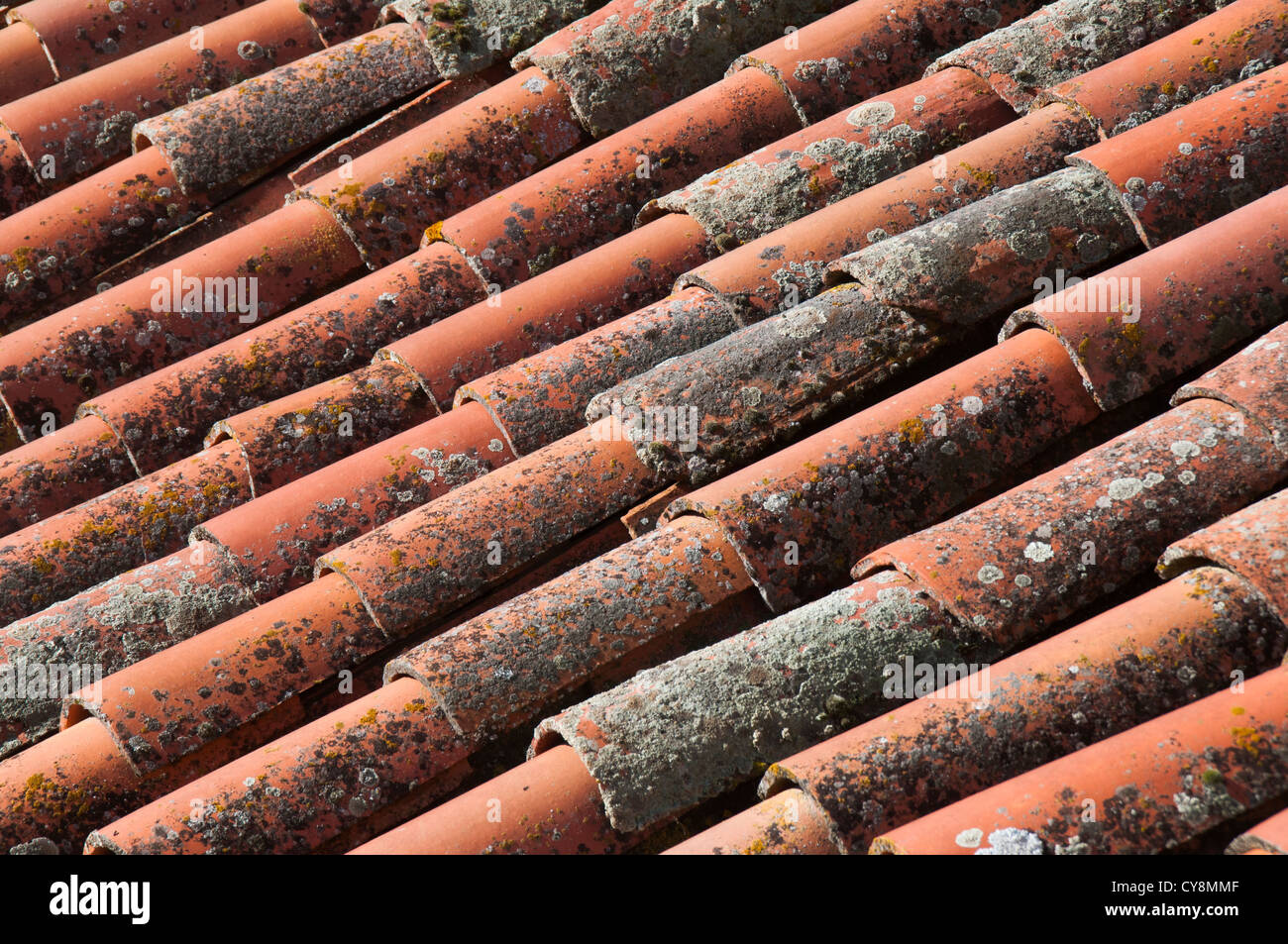 roof with old stains on the tiles Stock Photo - Alamy