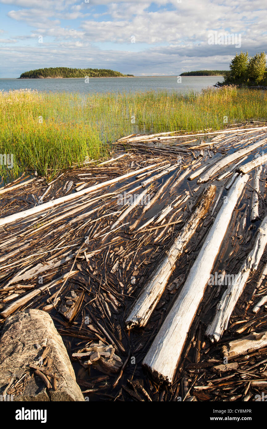 Chipewyan lake hi-res stock photography and images - Alamy