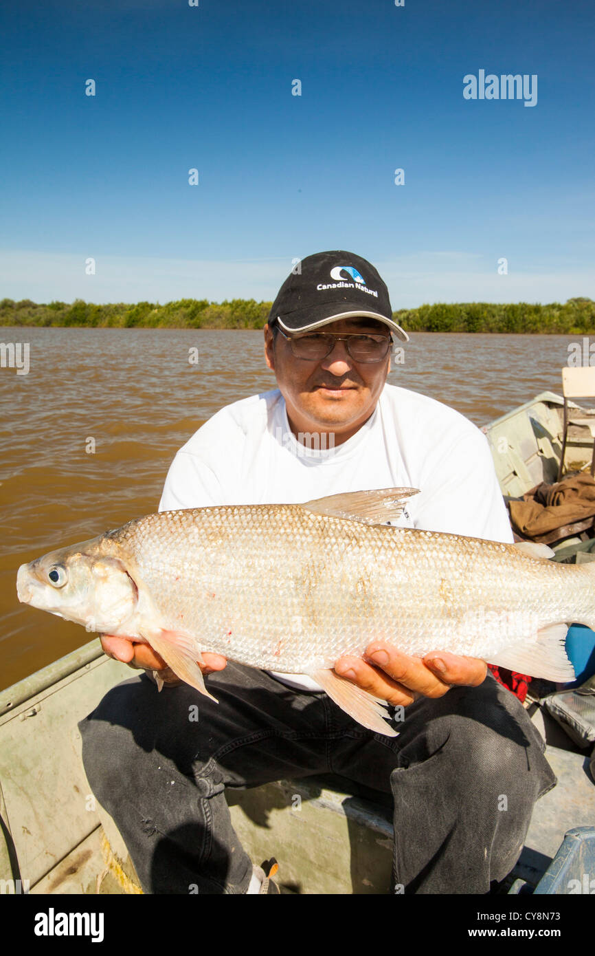 A fish caught in Lake Athabasca by Robert Grandjamber. Robert lives in ...