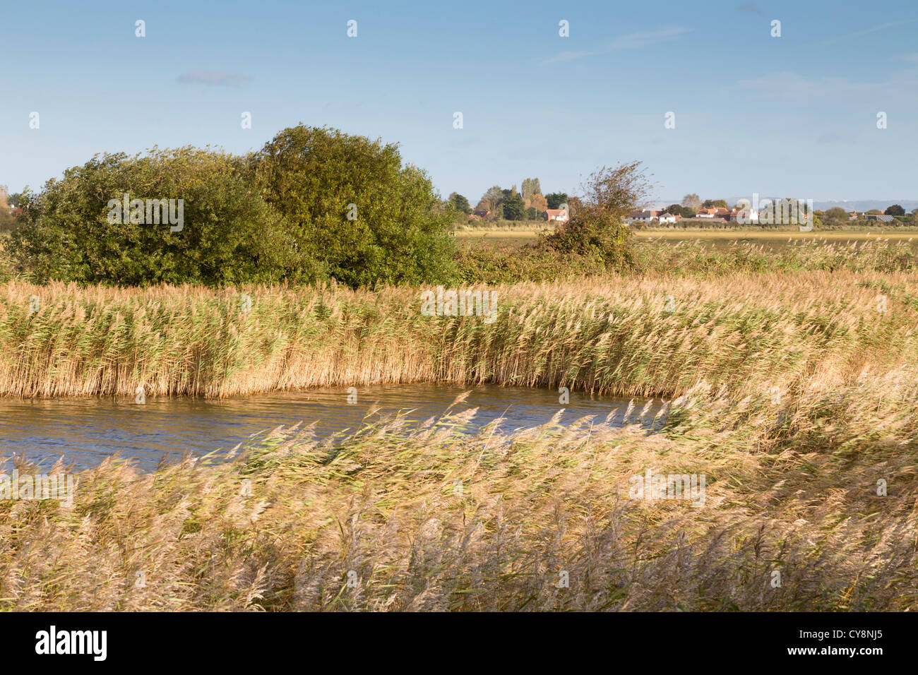 Pagham Harbour; RSPB reserve; West Sussex Stock Photo - Alamy