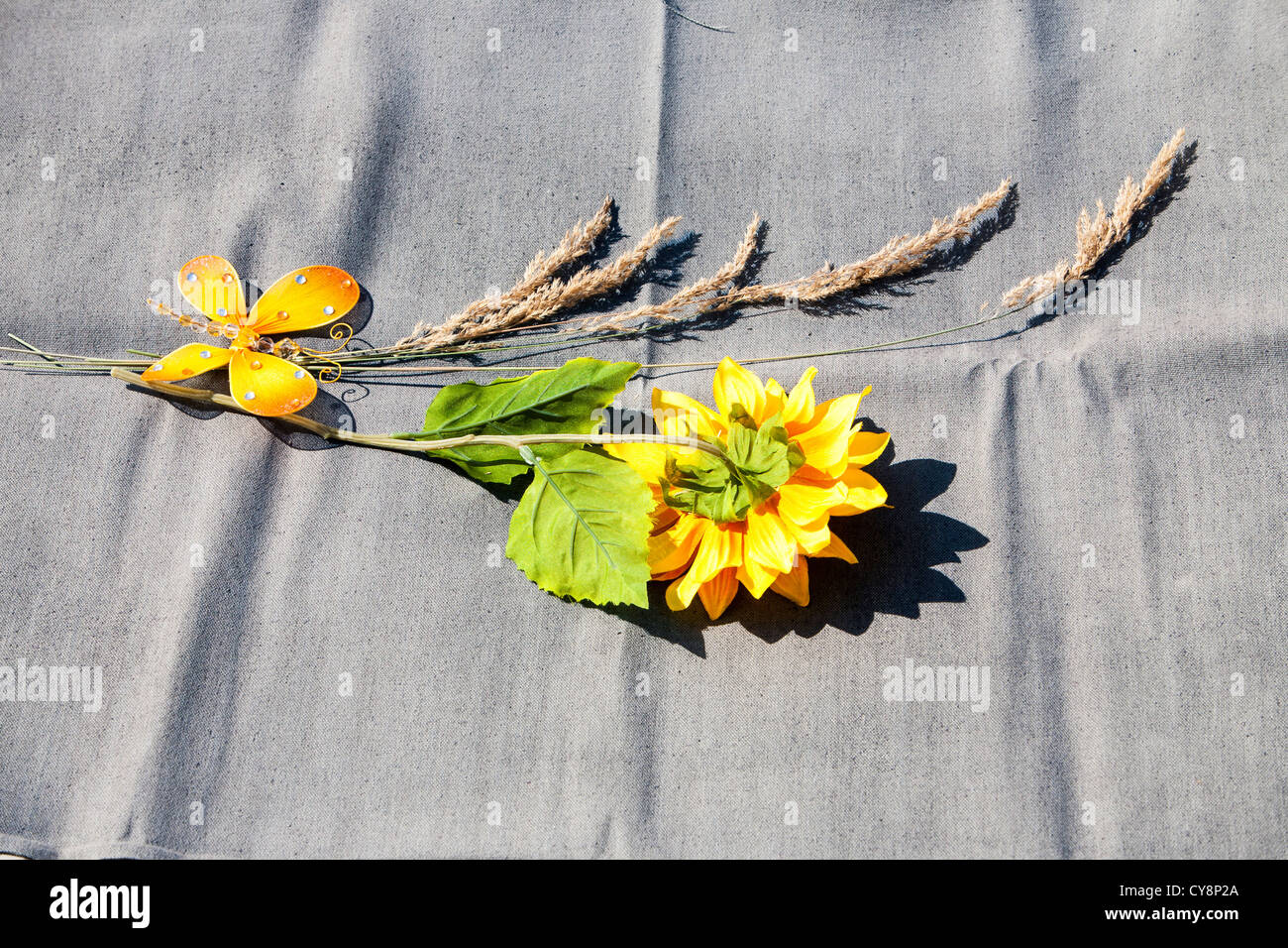 A cyanograph, an old form of photography where a cloth is soaked in ...