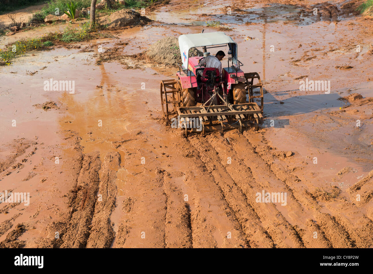 Ploughing tractor preparing a rice paddy field in the indian ...