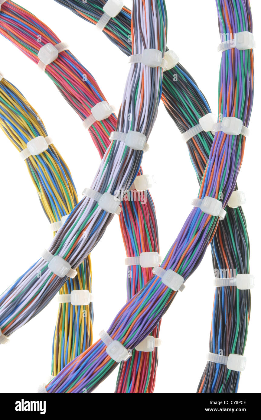 Bundles of network cables with cable ties Stock Photo - Alamy