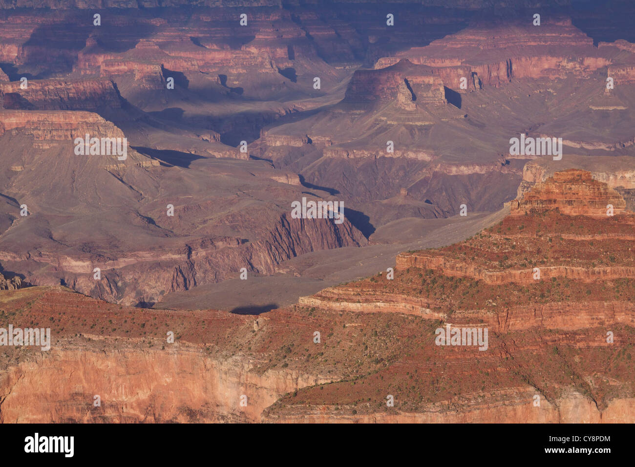 Cliffs in the Grand Canyon show the lines of strata of different rock ...