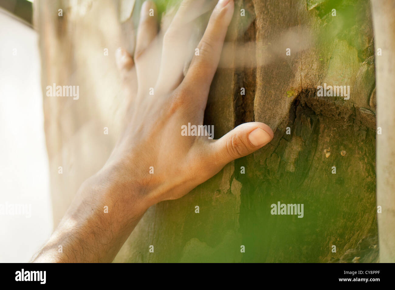 Man's hand touching tree bark, cropped Stock Photo - Alamy