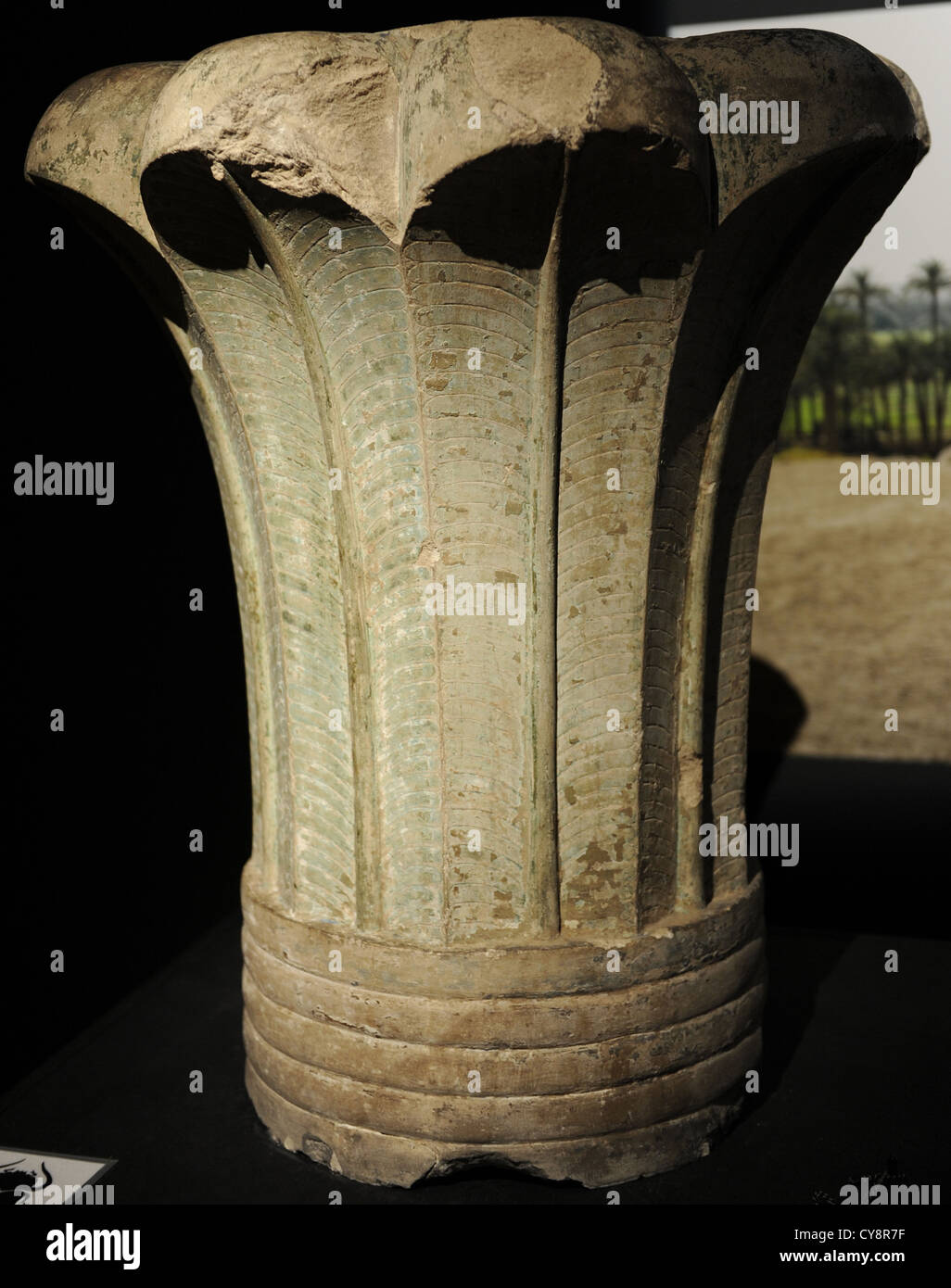 Capital of a palm column. Limestone. From the Palace of Apries, Memphis ...