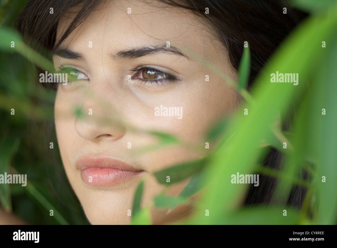 Portrait foliage hi-res stock photography and images - Alamy
