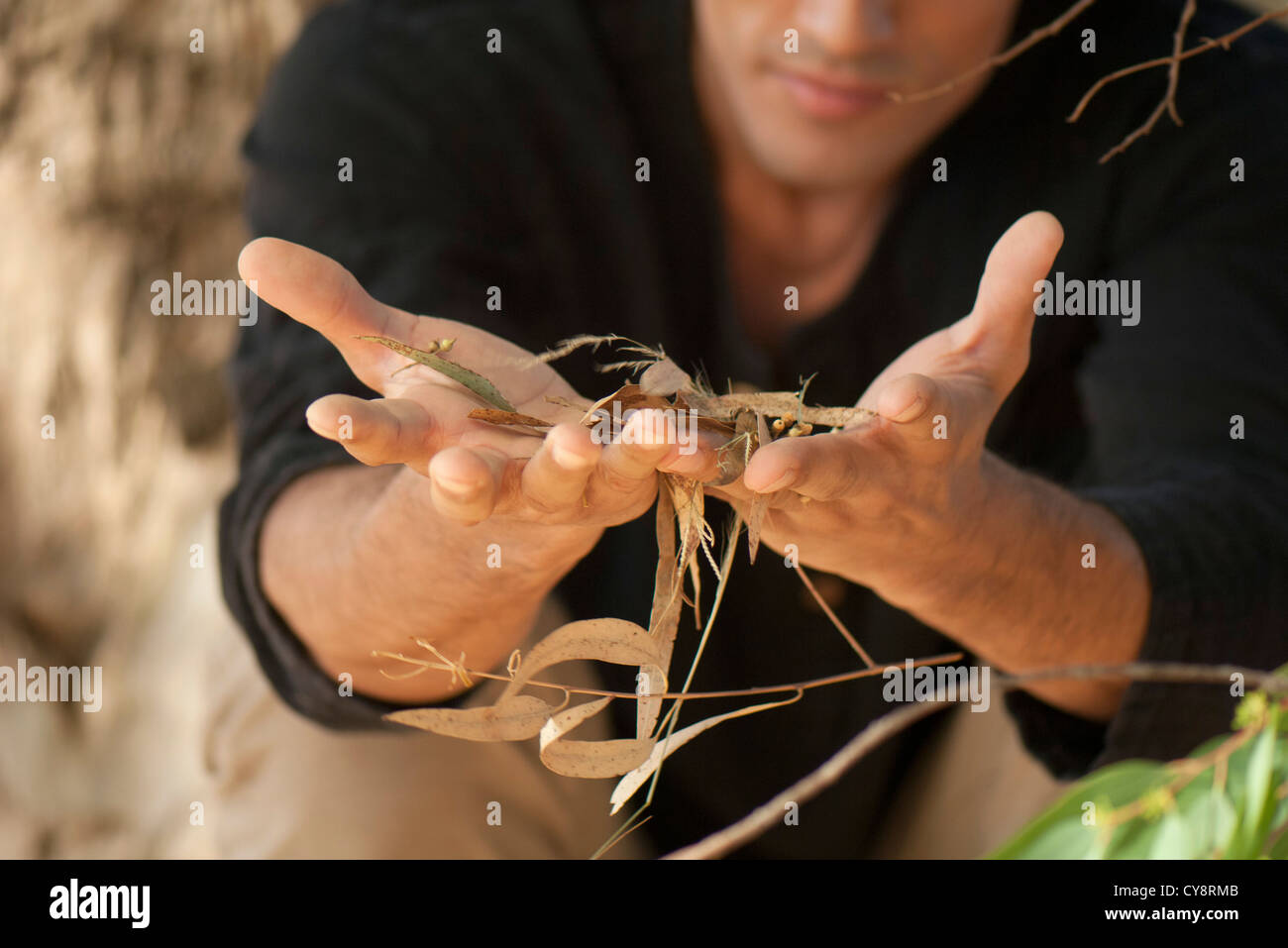Man holding handful of twigs and leaves, cropped Stock Photo - Alamy
