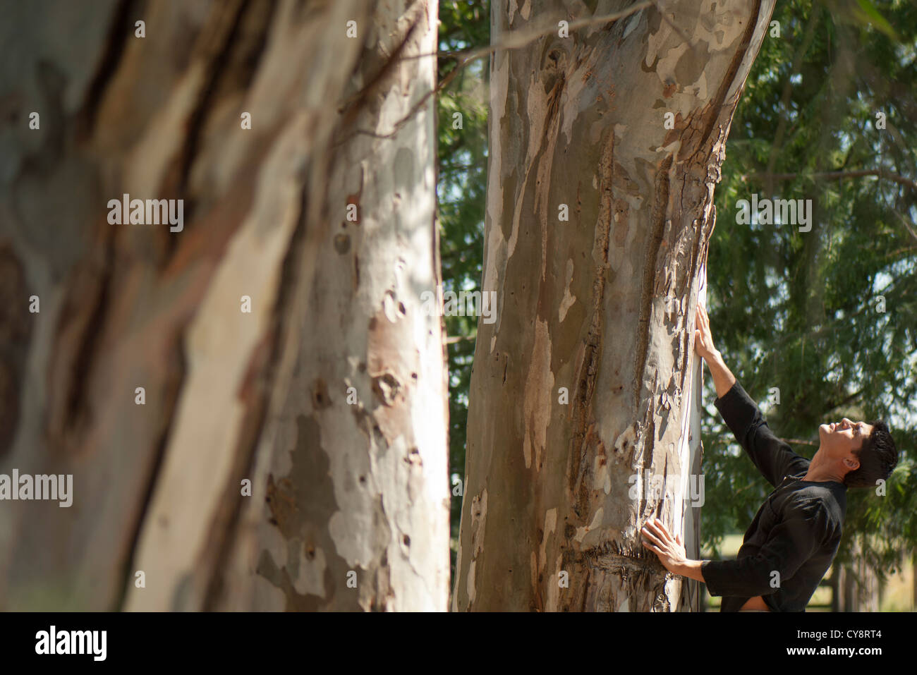 Man touching tree looking up hi-res stock photography and images - Alamy
