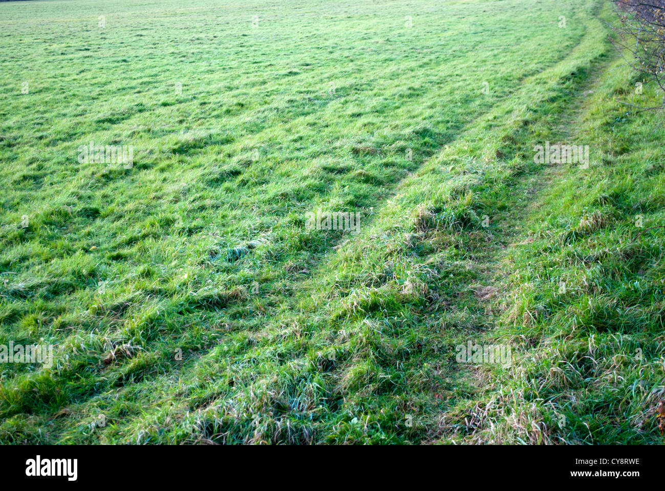 Rough green grass field with ploughing marks and footpath Stock Photo ...