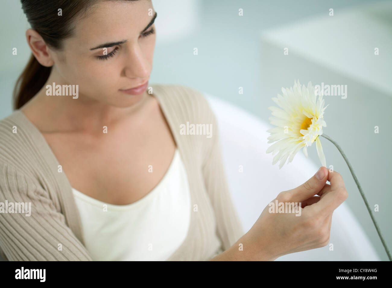 Young woman plucking petals from gerbera daisy Stock Photo - Alamy