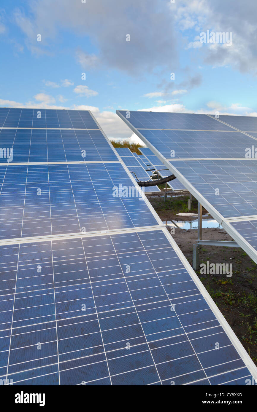 Solar photovoltaics panels field for renewable energy production with ...