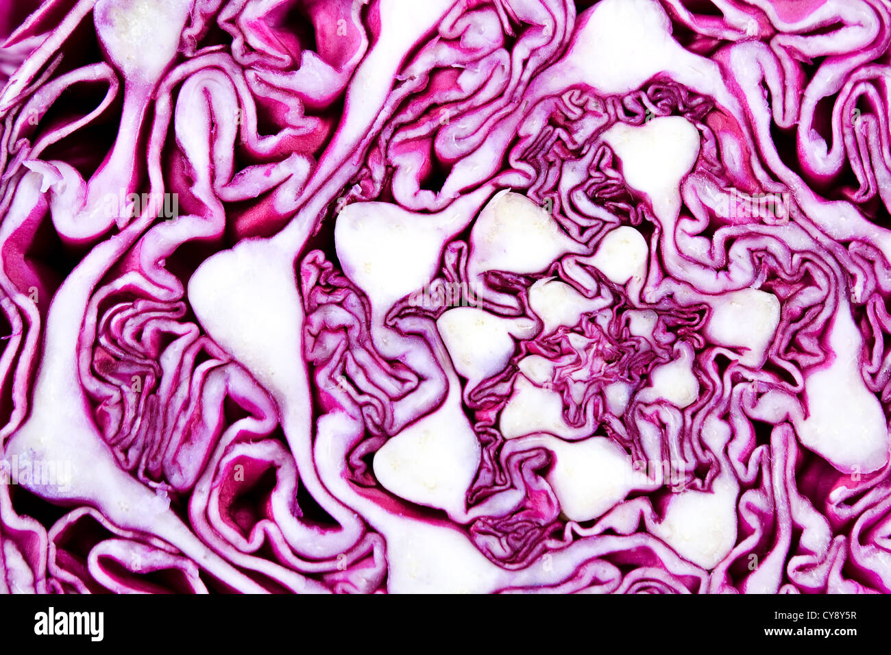 Cabbage abstract hi-res stock photography and images - Alamy