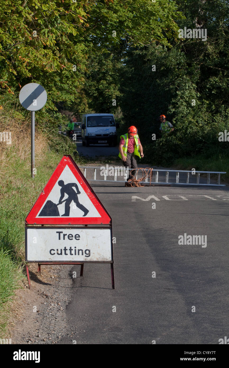 Tree fallen across road hi-res stock photography and images - Alamy