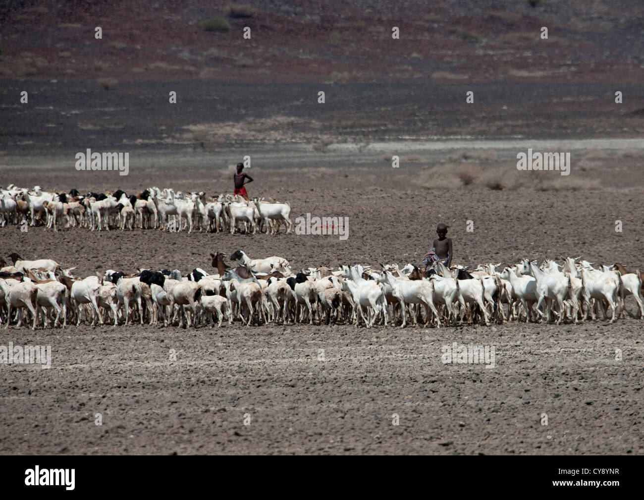 Chalbi Desert, Kenya Stock Photo - Alamy