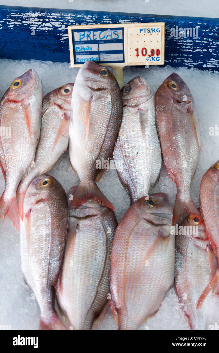 Fish for sale on fishmongers slab in Puerto de Mogan Gran Canaria ...