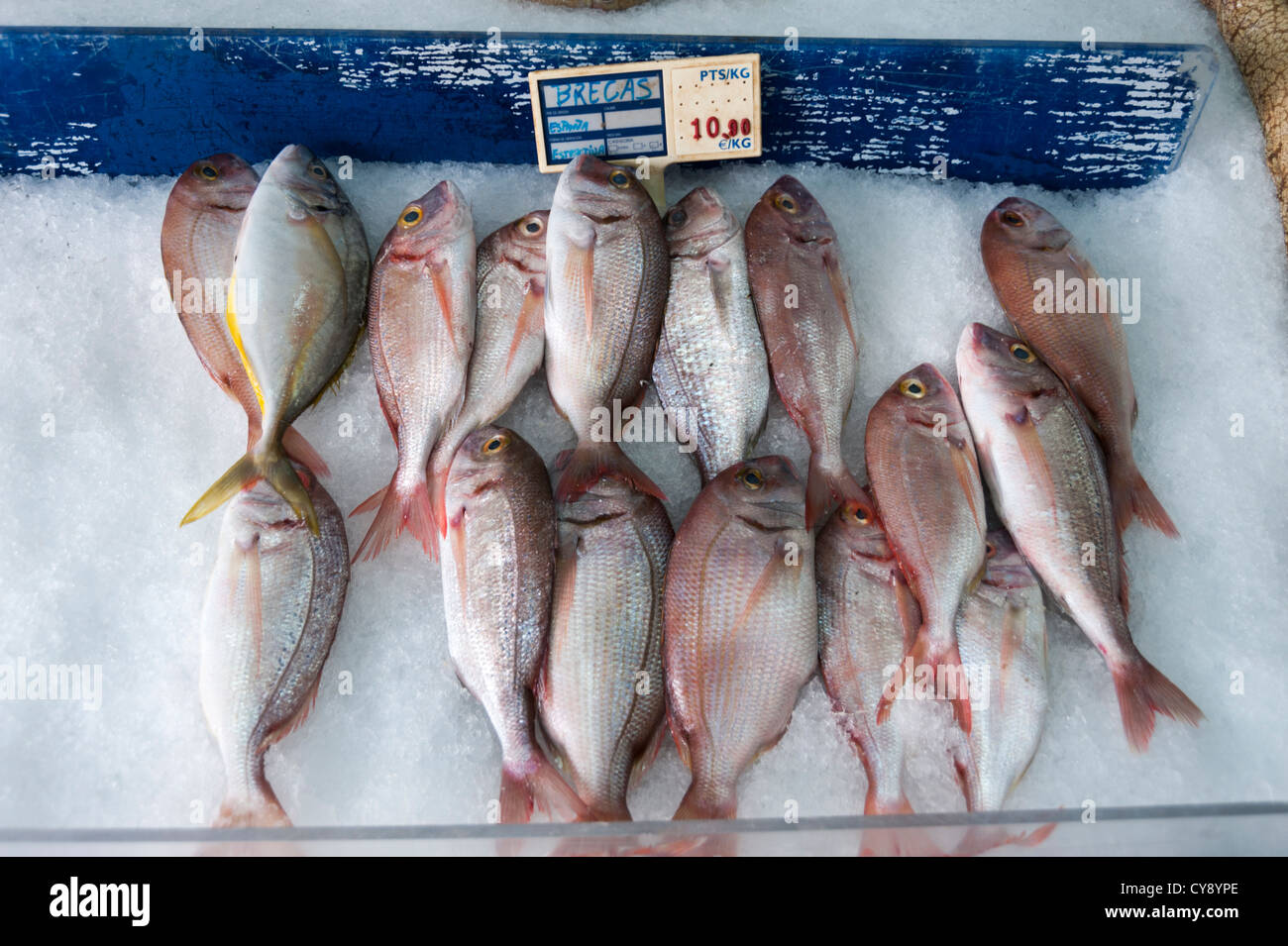 Fish for sale on fishmongers slab in Puerto de Mogan Gran Canaria ...