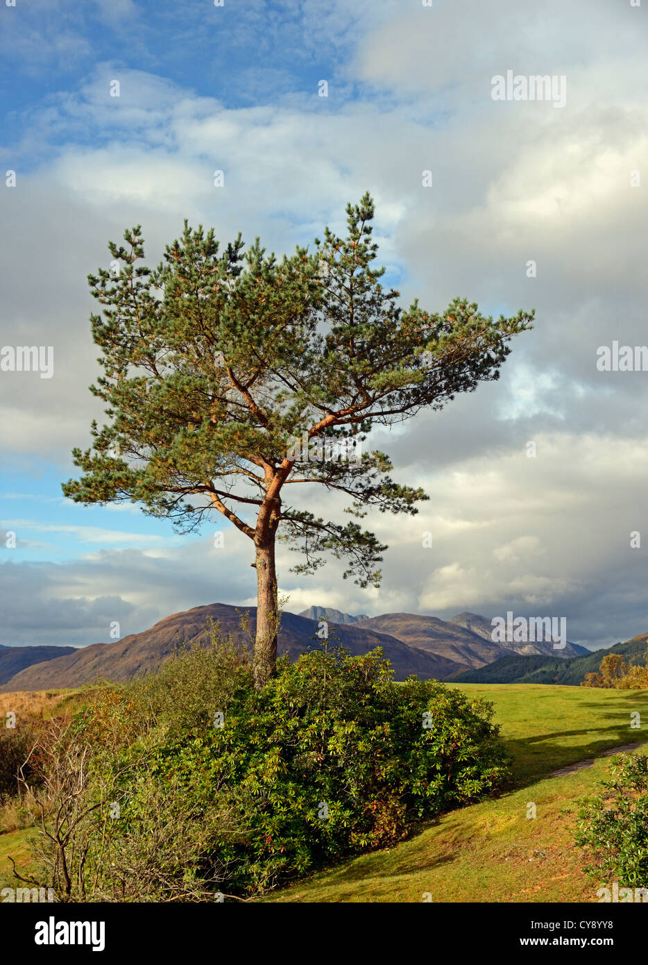 Morvern hills hi-res stock photography and images - Alamy