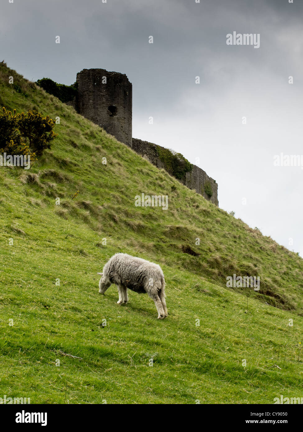 Wareham castle hi-res stock photography and images - Alamy