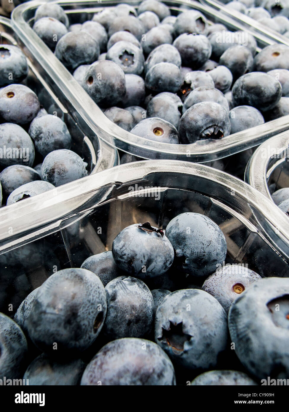 English Blueberries in Punnets Stock Photo - Alamy