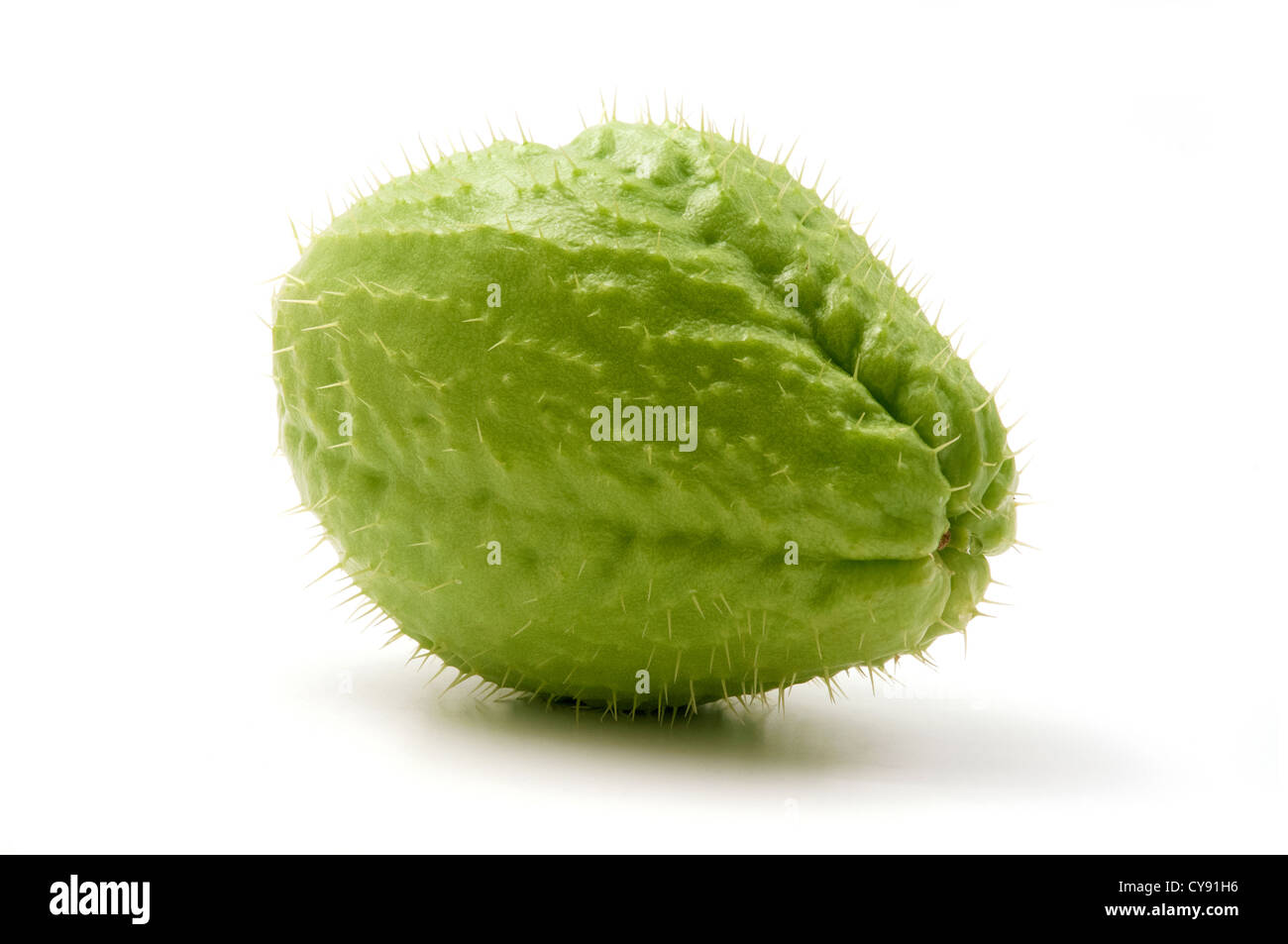 Chayote on a white background Stock Photo - Alamy