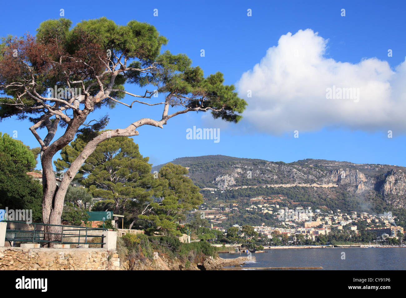 The Cap Ferrat, French Riviera Stock Photo - Alamy