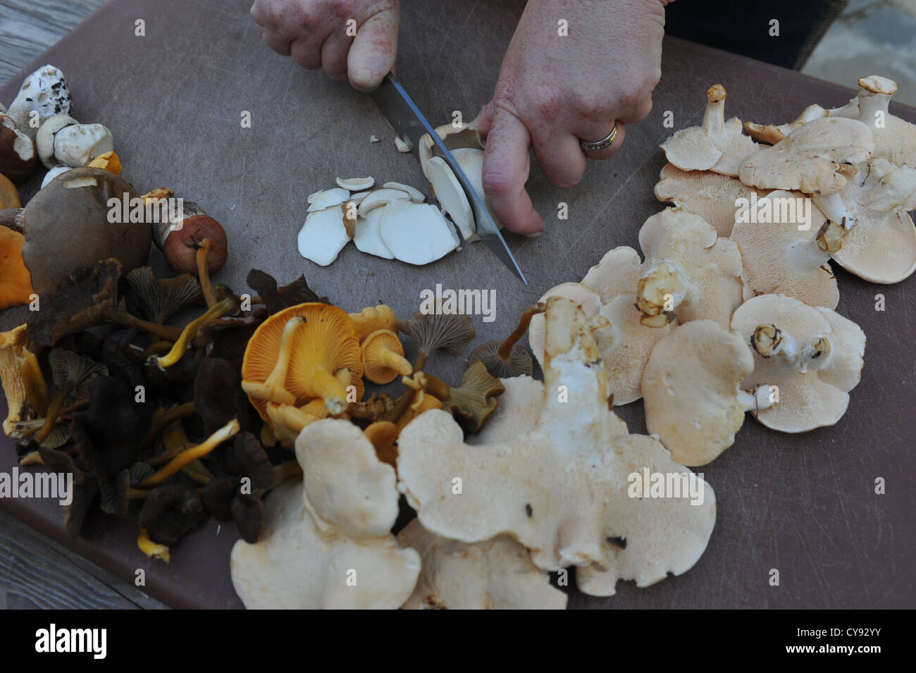 Foraged mushrooms and other wild forest produce Stock Photo - Alamy