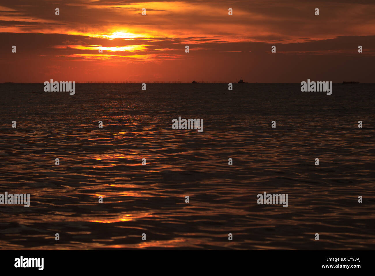 Golden light of the sun set over the river Stock Photo - Alamy