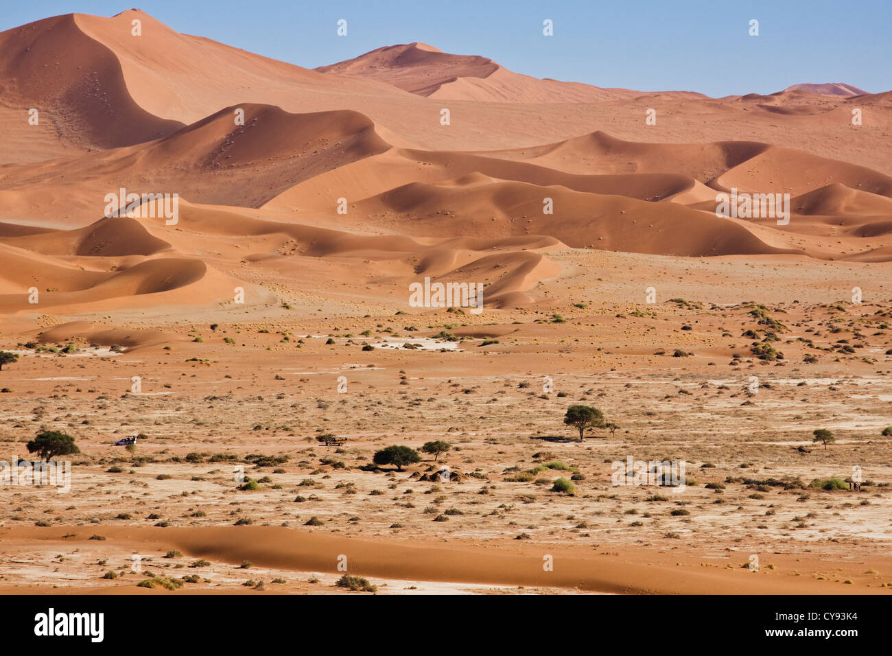Namid naukluft national park hi-res stock photography and images - Alamy