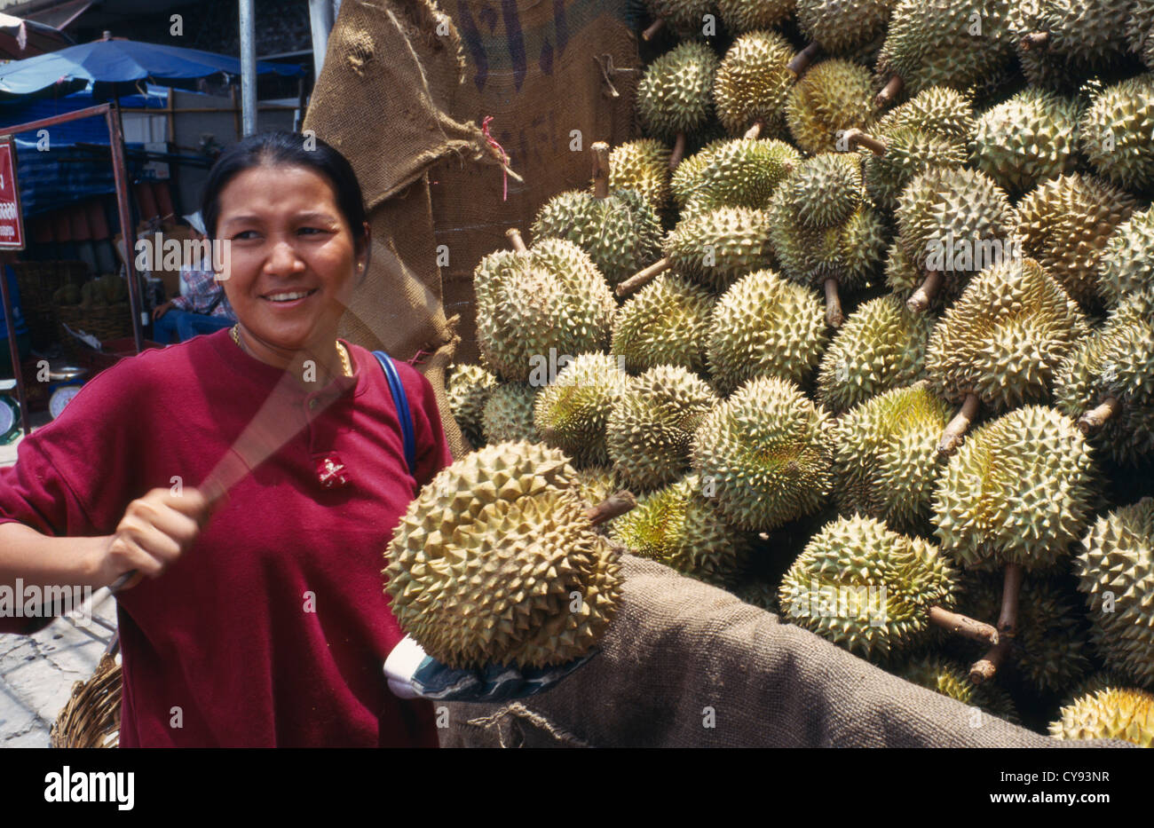 Durio zibethinus, Durian Stock Photo - Alamy